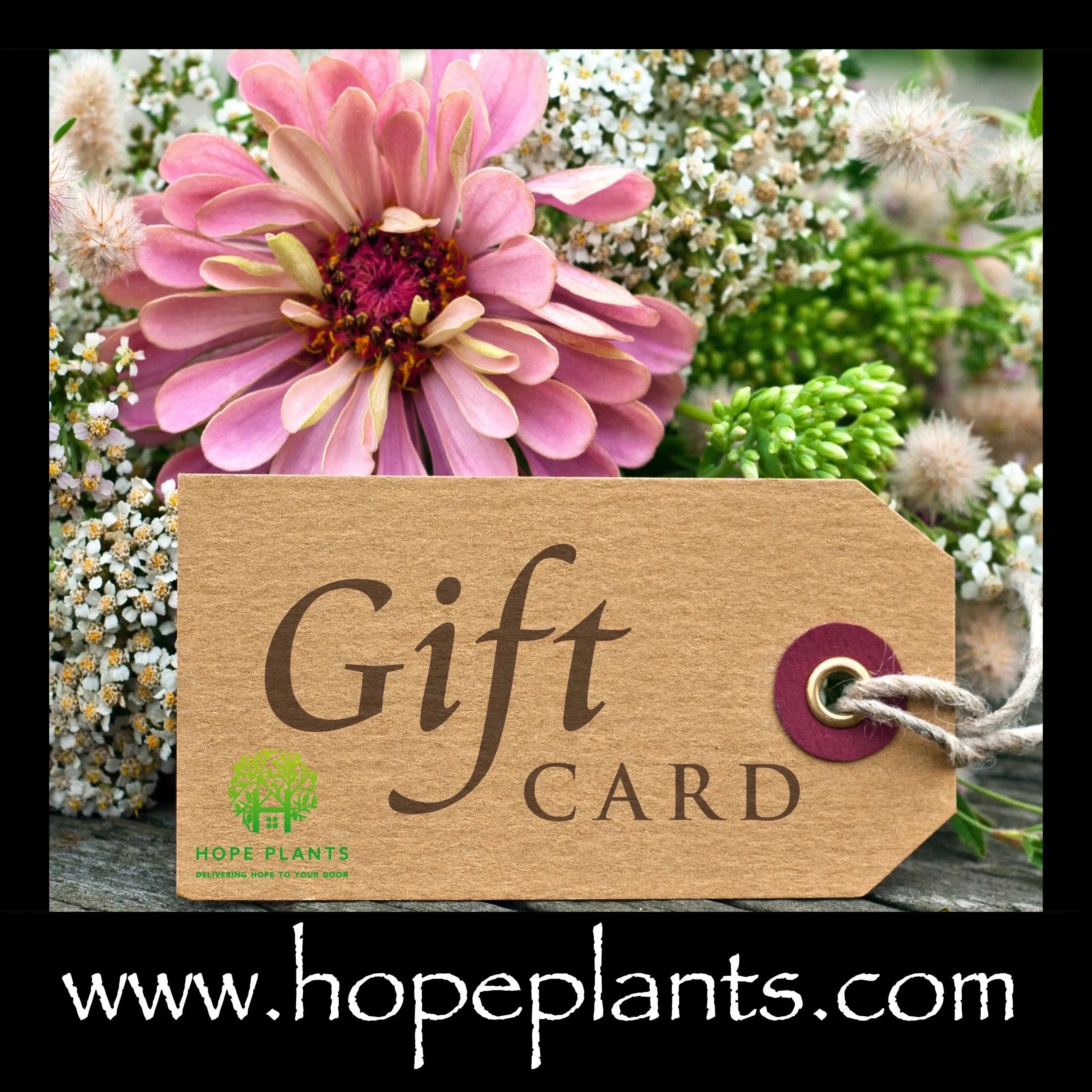 E-Gift Card – Hope Plants Ltd